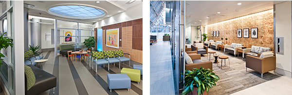 Environmental Graphic Design: Transforming a Space into an Experience